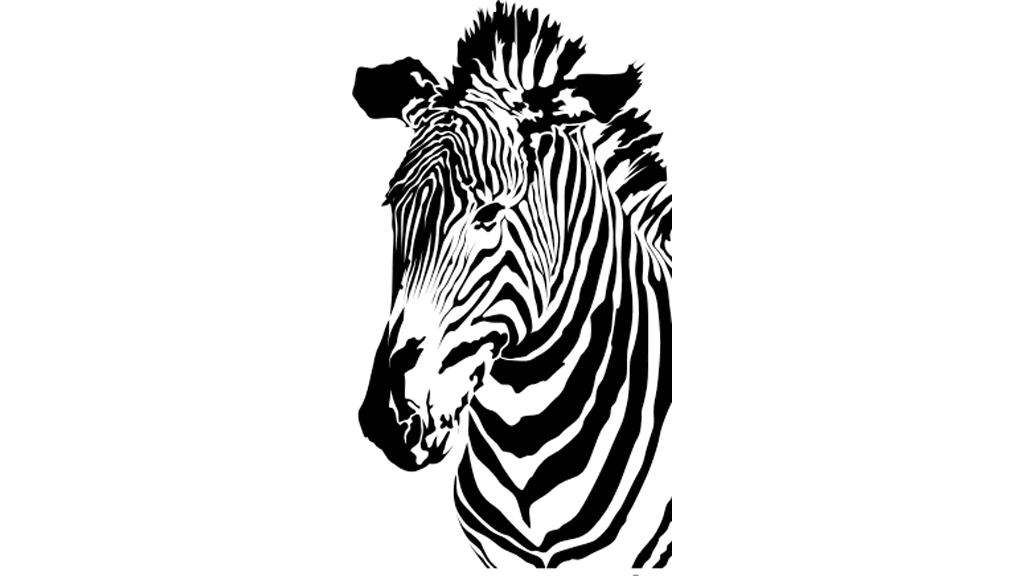 The Zebra Effect | Chaco Canyon Consulting